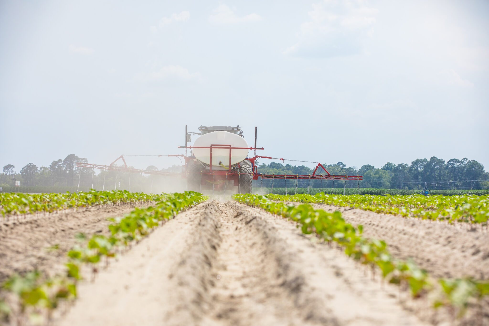 About Us - Newton Crouch Company LLC